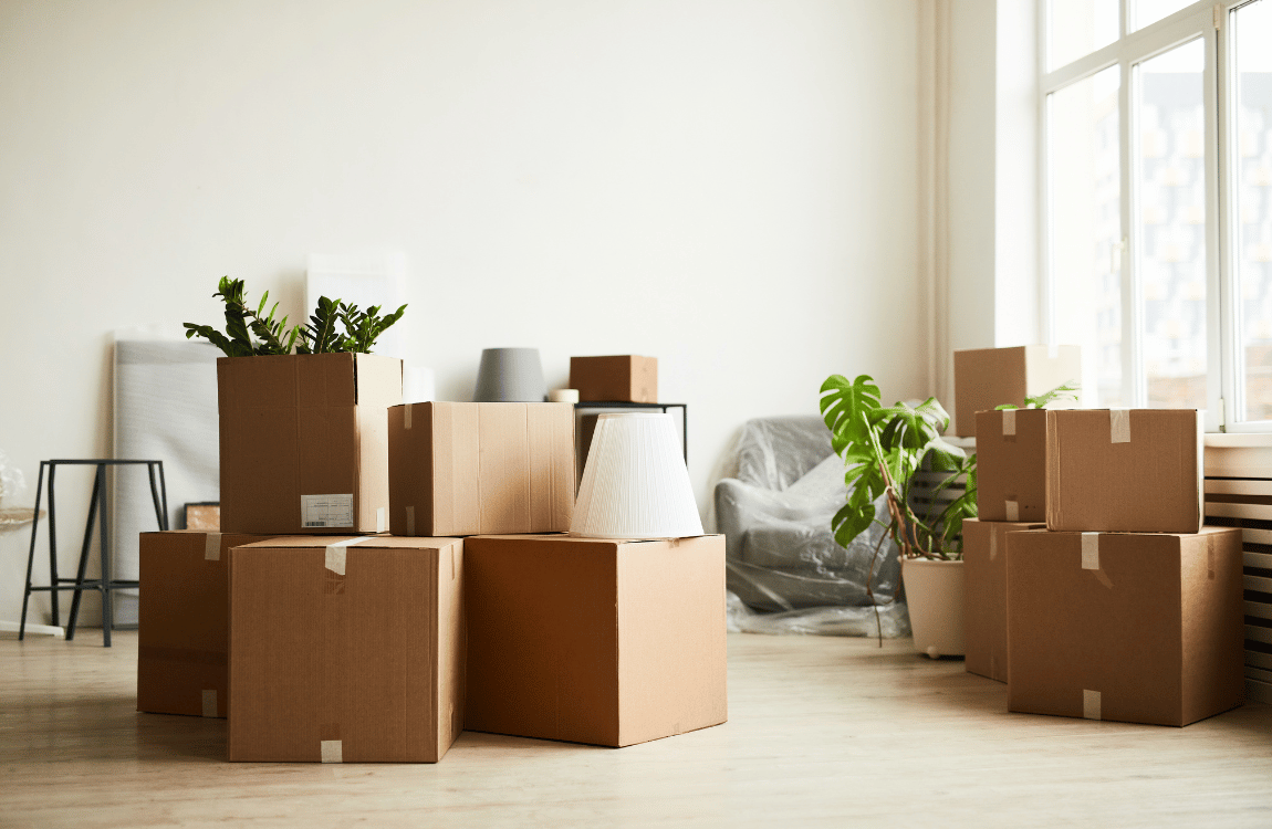 Eco-Friendly Shipping... | Biodegradable Tech Solutions