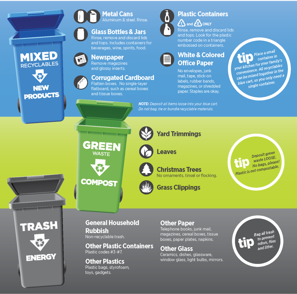 Eco-Friendly Trash Bags: Your Guide to Greener Disposal - Biodegradable ...